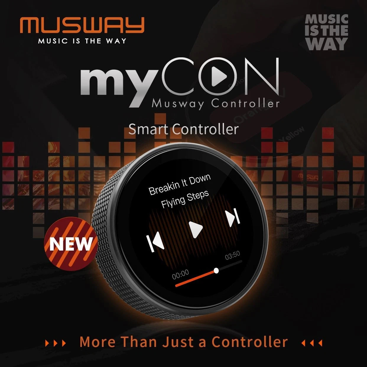 MUSWAY MYCON DSP AMPLIFIER CONTROLLER